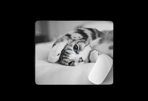 Mousepad Gatinho Deitado Modelo 1 - Like Geek - Mouse Pad - Magazine Luiza