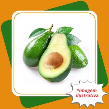 Muda de Abacate Geada Enxertada Persea Americana Mill. - Gardencitrus ...