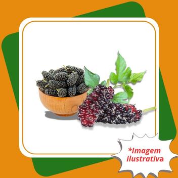 Muda de Amora de Árvore Amora Morus Nigra - Gardencitrus - Muda ...