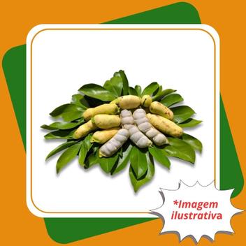 Muda de Inga Banana Inga Vera Subsp. Affinis - Gardencitrus - Muda - Magazine Luiza