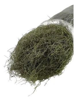 Musgo Seco Barba De Bode Saco Grande Com Aprox. 400 Gramas - FLORA FULL ...