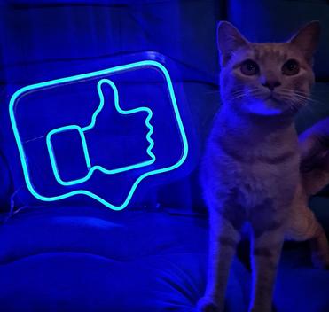 Painel Neon Joinha Facebook Azul 35cm Com Controle! - By Hands Decor ...