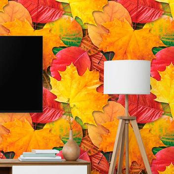 Papel de Parede Adesivo Auto colante Folha seca do outono Colorido ...