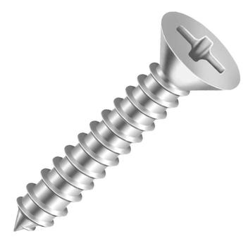 Parafuso inox 39 x 22 cabeça chata phillips c200 - CISER - Parafuso ...