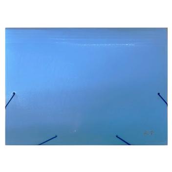 Pasta sanfonada A4 12 divisórias colorida ACP - Pastas - Magazine Luiza