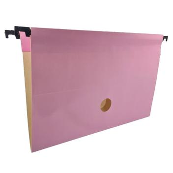 Pasta Suspensa Collor Plus Plastificada Cor Rosa Pastel 10UN - TP ...