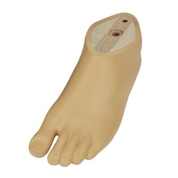 Pé Protético Dynamic Foot Bege 24 Esquerdo 1D10 - Ottobock - Produtos ...