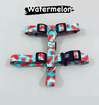 Peitoral h + guia (watermelon) - tamanho pp - GUI DOGS - Peitoral para Cachorro - Magazine Luiza