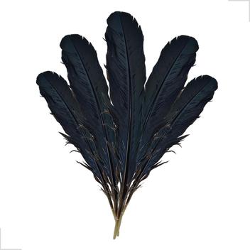 Pena de Passaro Agbe Africano Para Ritual Candomble Espiritual 1un ...