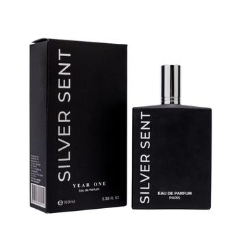 Perfume Masculino Silver Sense 100ml - Perfume Masculino - Magazine Luiza