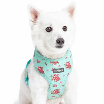 Perfume para Cães Harness Blueberry Pet - Macio e Confortável - Outros ...