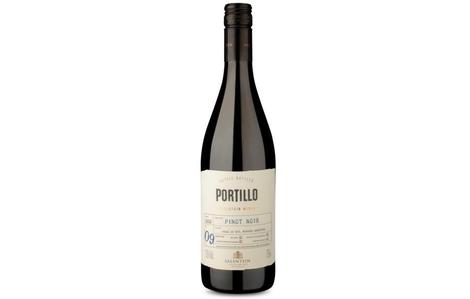 Portillo Valle de Uco Pinot Noir 2023 Vinho Tinto Argentina 750ml ...