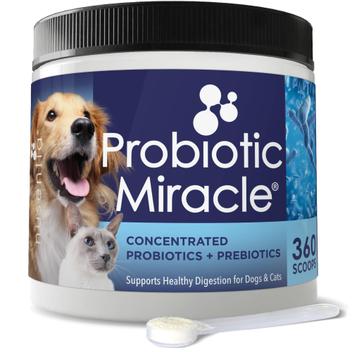 Probiótico Nusentia Probiotic Miracle para cães 360 colheres ...