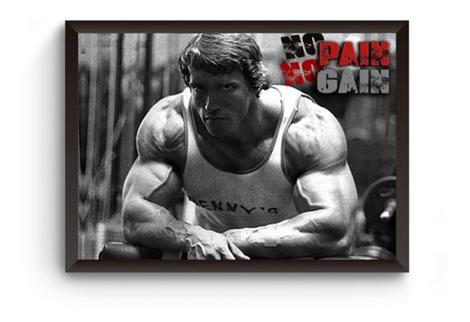 Quadro Arnold Schwarzenegger Motivacional No Pain No Gain - Fanarte ...
