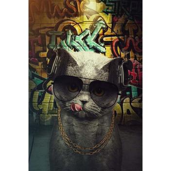 Quadro Decorativo Gato Rapper Street Art 1 Tela - TNA Decor - Quadro ...