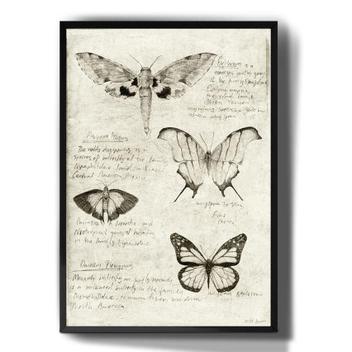 Quadro Decorativo Vintage Insetos Desenho Arte - Tribos - Quadro ...