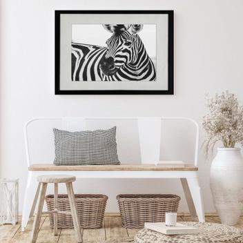 Quadro Horizontal Zebra - 60x48cm - Quadros On-line - Quadro Decorativo ...