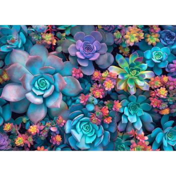 Quebra-cabeça MINIWAN Succulent Plants 1000 peças para adultos - Quebra ...