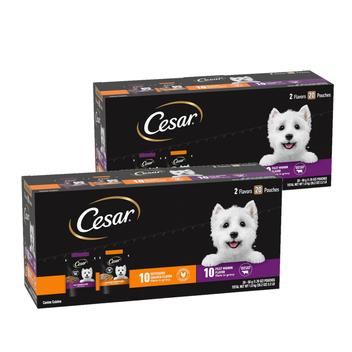 Ração Úmida Cesar Filets para Cães - Filé Mignon e Frango (50g ...