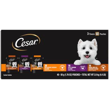 Ração Úmida Cesar para Cães - Filé Mignon - 40 Unidades - Outros Pets ...