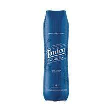 Refrigerante Tônica Antarctica Pet 1L Caixa c/ 6 un - ambev - Água ...