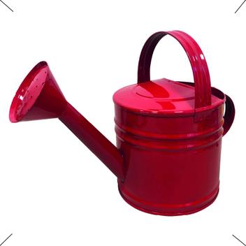 Regador para Jardim Plantas Horta Decorações Metal 3L - Caldeira Center ...