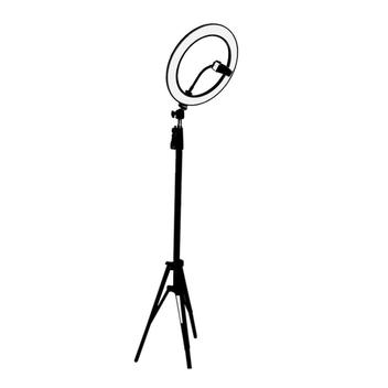 Ring Light Completo Iluminador Portátil 26Cm + Tripé 2M - Rohs - Ring ...