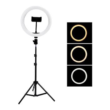 Ring Light Iluminador 10 Polegadas Com Tripé De 1,75 Cm - Lehmox - Ring Light - Magazine Luiza