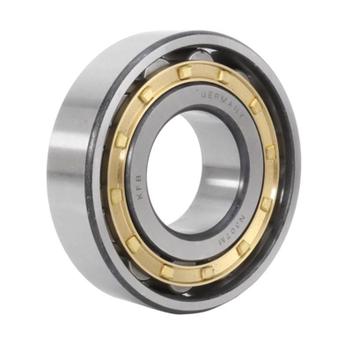 Rolamento Rolos Cilíndricos Câmbio Para Trator Valtra La3511 - SHARK ...