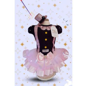 Roupa Pet Vestido Fantasia Magica Dudog Vest - Vestido para Cachorro ...