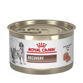 Royal Canin Pate Recovery Recuperação Cães e Gatos 195g - Ração Seca ...