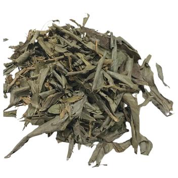 Saião 1Kg ( Kalanchoe brasiliensis Cambess) - Top Life - Plantas ...