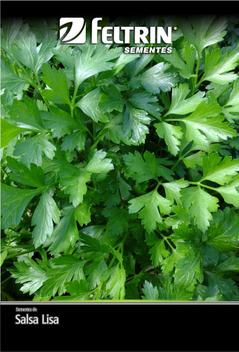 Salsa Lisa - 900mg - Feltrin Sementes - Sementes - Magazine Luiza