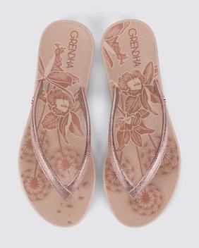 Sandalia Feminino Grendha Cacau Afetiva Rasteirinha - Rasteirinha ...