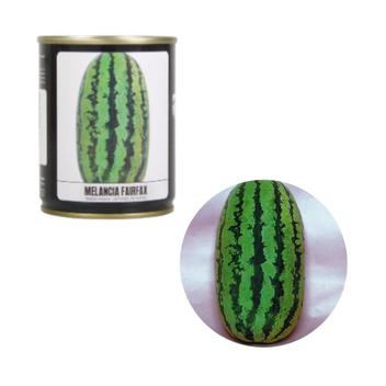 Semente de Melancia Fairfax Feltrin - 100g - Sementes - Magazine Luiza