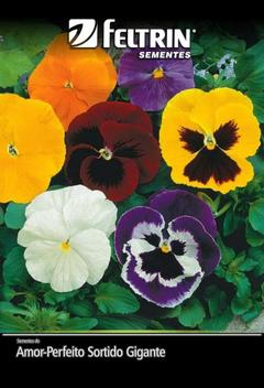Semente Feltrin Golden Amor Perfeito Sortido Gigante Suíço - Sementes ...