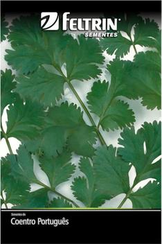 Semente Feltrin Golden Coentro Pacífico - Sementes - Magazine Luiza