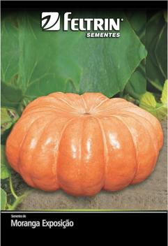 Semente Feltrin Golden Moranga Exposição - Sementes - Magazine Luiza