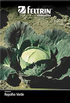 Semente Feltrin Golden Repolho Chato De Quintal - Sementes - Magazine Luiza
