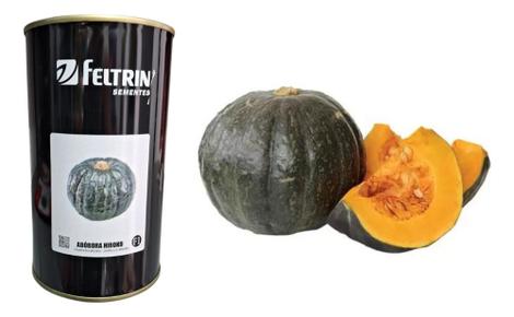 Sementes de Abobora Hiroko Lata C/ 250gr de Sementes - Feltrin ...