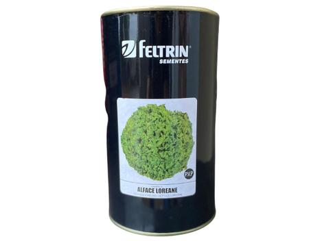 Sementes De Alface Loreane - Feltrin - Sementes - Magazine Luiza
