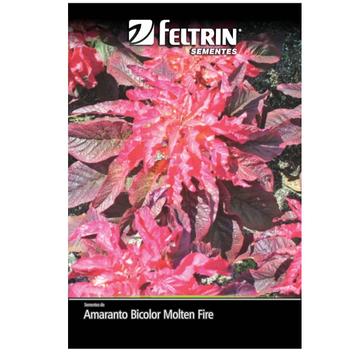 Sementes de Amaranto Bicolor Molten Fire FELTRIN - Sementes - Magazine ...