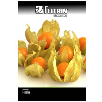 Sementes de Fisális GoldenBerry FELTRIN - Sementes - Magazine Luiza