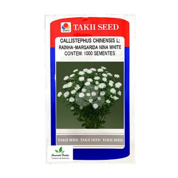 Sementes de Flor Rainha Margarida Aster Nina White Env. C/ 1.000 ...