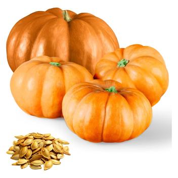 Sementes de Frutas, Verduras, Temperos e Hortaliças Feltrin Envelope ...