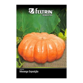 Sementes de Moranga Exposição Feltrin 8g - Sementes - Magazine Luiza