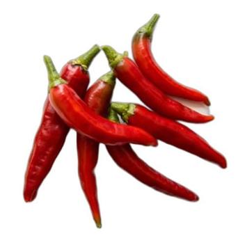 Sementes de Pimentas Diversas Variedades - Feltrin/TopSeed/Isla ...