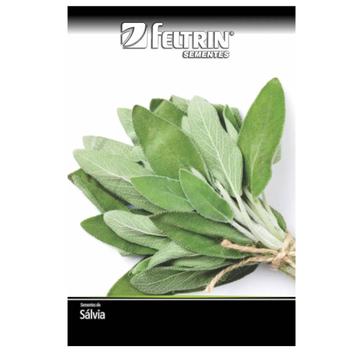 Sementes de Sálvia FELTRIN - Sementes - Magazine Luiza