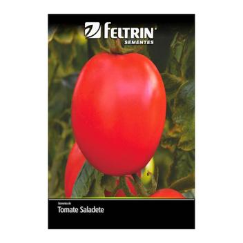 Sementes de Tomate Saladete Bartô Feltrin 2g - Sementes - Magazine Luiza