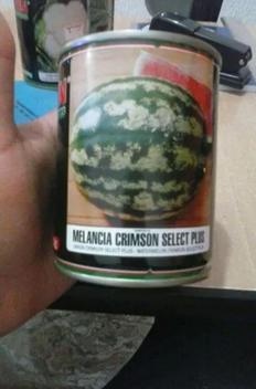 Sementes Melância Crimson Sweet Feltrin 50 g - Sementes - Magazine Luiza